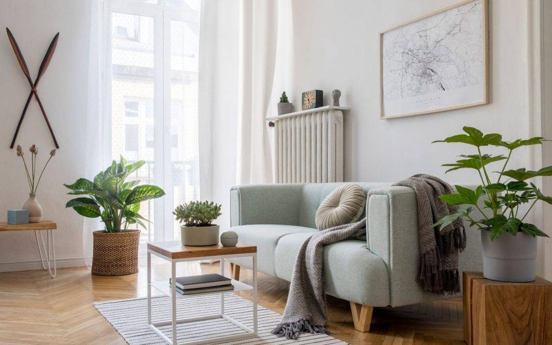 How To Create A Healthy And Fragrant Home